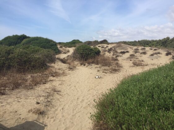 Het strand van Rome - [tip!] 18 km zandstrand - Dit is Italië